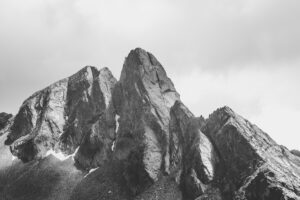 Dogmatism Fallacy - Grow Thoughtful