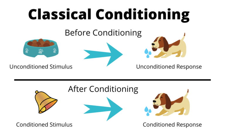 Classical Conditioning & Examples - Grow Thoughtful